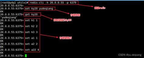 【nosql】redis介绍、安装、性能优化redis 安装 性能 Csdn博客