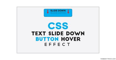 Css Wacom Button Hover Effect Text Slide Down On Hover