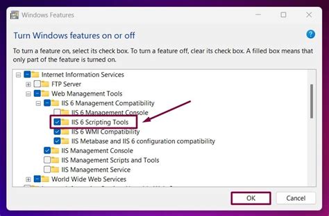 Enable Iis 6 Scripting Tools In Windows 11