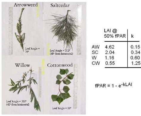 Figure 1 From Relationship Between Remotely Sensed Vegetation Indices Canopy Attributes And