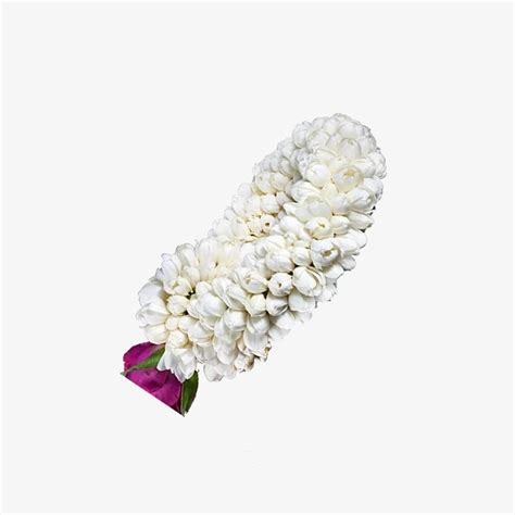 Fresh Jasmine String Sriganesh Selections