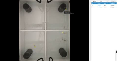 Is It Possible To Constrain Tracking By Max Velocity · Talmolab Sleap · Discussion 797 · Github