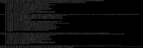 springboot出现exception processing errorpage[errorcode 0 location error