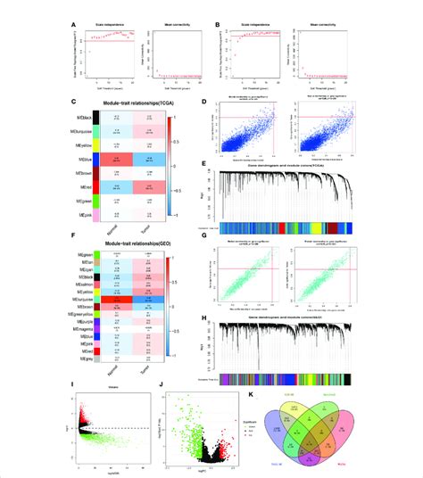 Process Of Screening For Target Genes A Analysis Of Network Topology Download Scientific