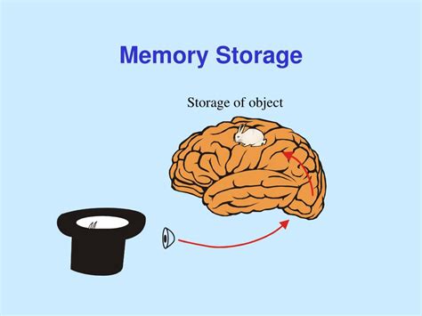 PPT Visual Working Memory PowerPoint Presentation Free Download ID 7084194