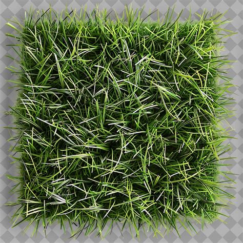 Page 6 Grass Texture Seamless Normal Map Psd High Quality Free Psd