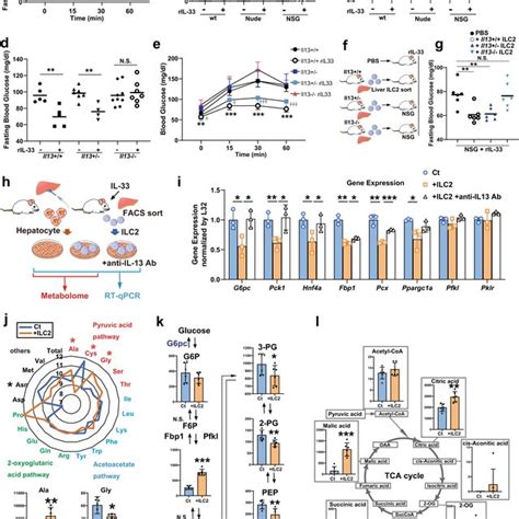Scrna Seq Reveals That Liver Group 2 Innate Lymphoid Cells Ilc2