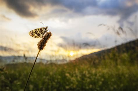 30 Day Forecast Weather Prediction Might Be Able To Look Beyond 2