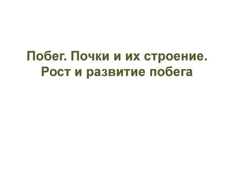 Побег Почки и их строение Рост и развитие побега презентация онлайн