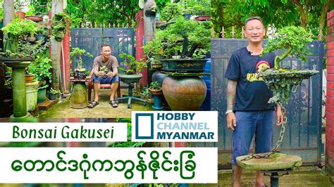 တောင်ဒဂုံကအလန်းစားဘွန်ဇိုင်းခြံ Youtube