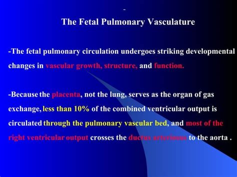 Pphn Ppt Lung And Respiratory Health Diseases And Conditions