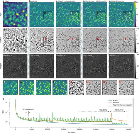 Reconstructed Phase Amplitude And Diffraction At The Sensor Plane Download Scientific