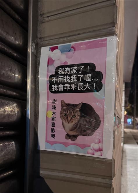陪伴我每個上下班時光的街貓 終於在今年冬天順利畢業了 再也見不到了 但一定會很幸福的🥹