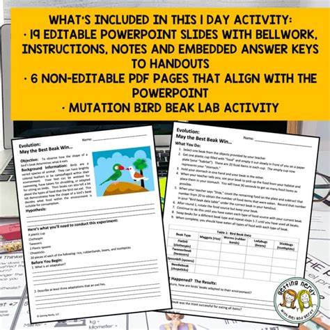 Evolution Adaptation Mutation And Natural Selection Notes And Bird
