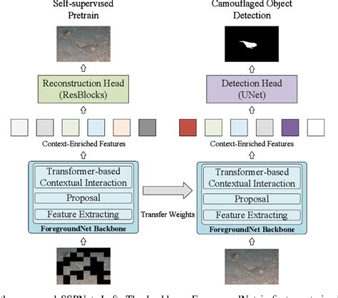 Figure 1 From Self Supervised Learning For Camouflaged Object Detection Semantic Scholar