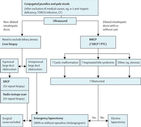 Biliary Atresia The Lancet