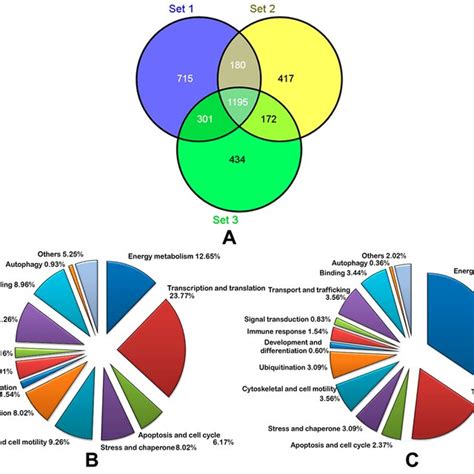 Analysis Of Proteomics Data A Venn Diagram Created Using The Program Download Scientific