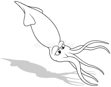 Drawing Of A Floating Squid Stock Illustration Illustration Of Life Drawing