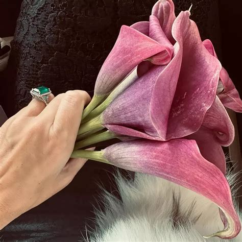 Dana Budeanu 2 Unica Ro