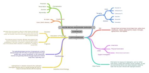 Leptospirosis Putri Richa Anggraini Saragih Coggle Diagram