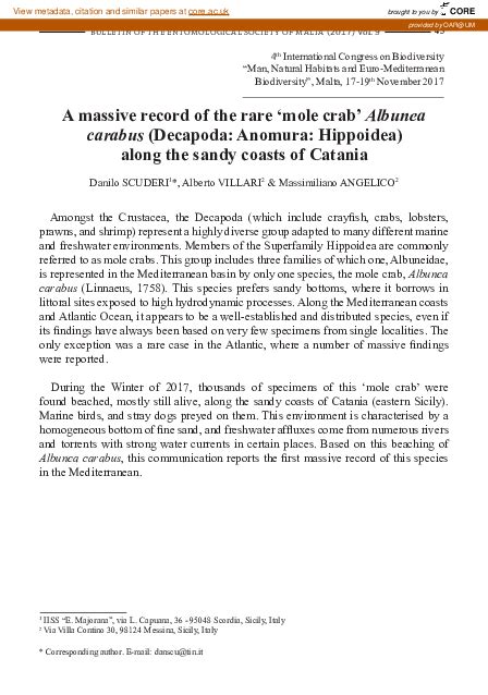 Pdf A Massive Record Of The Rare ‘mole Crab Albunea Carabus