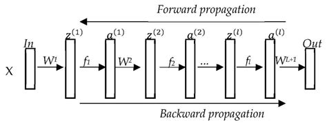Schematic Diagram Of Network Propagation Wi Is The Weight Coefficient Download Scientific