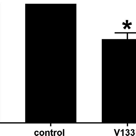 Opp‐puromycin Click‐chemistry Labeling Assay Of Protein Synthesis Rate Download Scientific