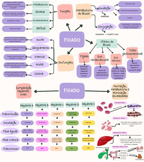 Mapa Mental Ambiente E Hereditariedade Pdf Fígado Etanol
