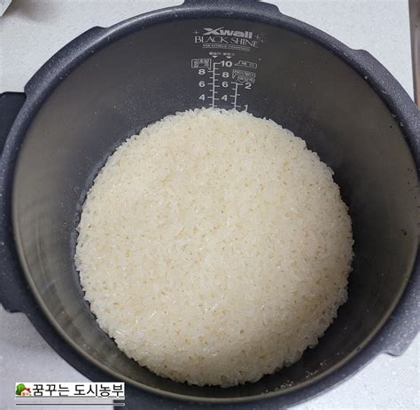 집에서 간단하게 밥알인절미 만들기