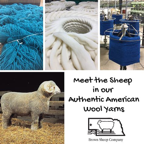 Behind The Fleece Meet The Sheep In Our Authentic American Wool Yarn