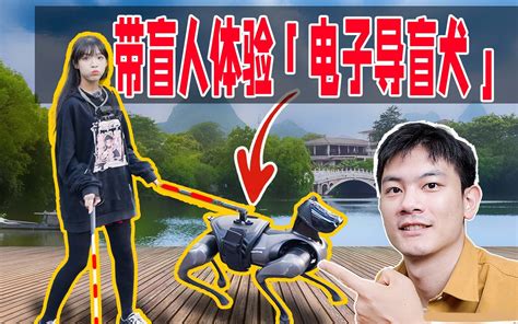 送盲人一只电子导盲犬能代替真狗吗 诺子喵呜 诺子喵呜 哔哩哔哩视频