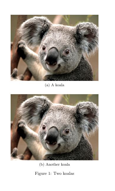 Sub Figures Academic Writing With Latex