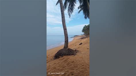 හරියට බැලුවොත් කවුරුත් නොදැකපු දෙයක් දකයි 👀👀 Youtube