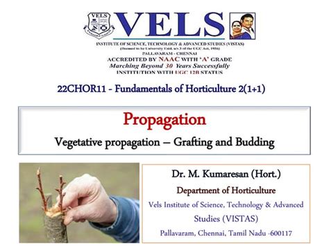 Propagation Asexual Grafting And Budding Pdf