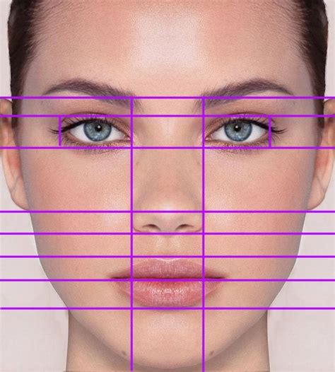 Face Proportions Face Drawing Face Proportions Drawing