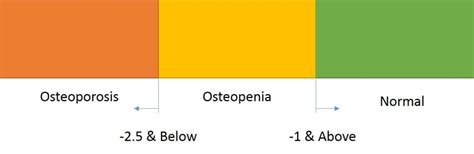 Dexa Scan For Bone Get Test Cost Purpose And Pictures 2021
