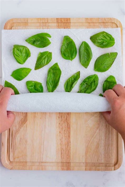 How To Store Basil So It Stays Fresh Evolving Table