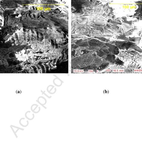 General Molecular Structure Of Polyaniline Download Scientific Diagram