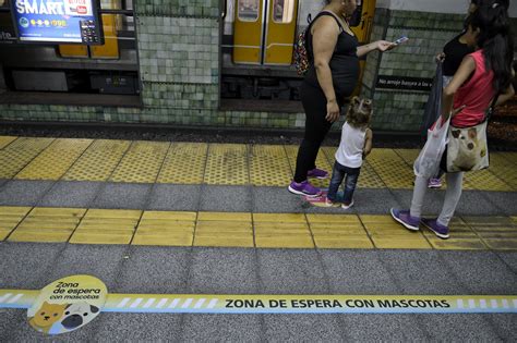 Las Mejores Fotos Del Primer Día De Las Mascotas En Los Subtes Infobae