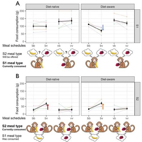Future Palatability Outweighs Actual Palatability In Determining Food Download Scientific