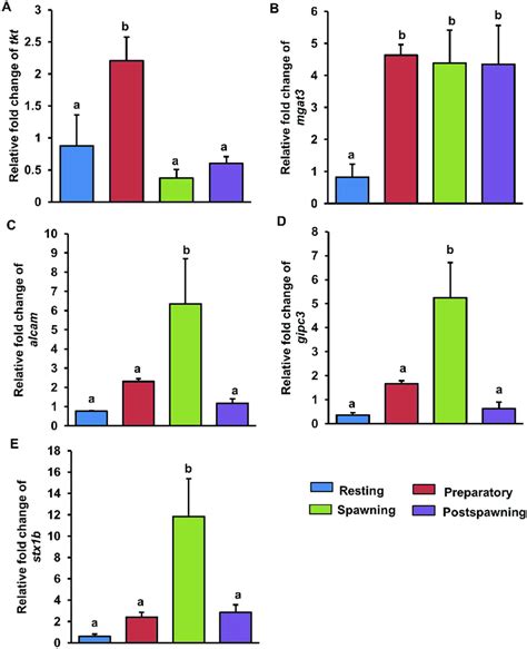 Showing Expression Fold Change Of Some Differentially Expressed Download Scientific Diagram