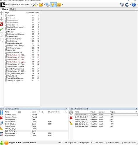Cant Get Game Running With Sexlabs Light For Se Technical Support