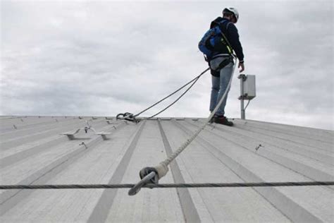 Fixed Lifeline Systems