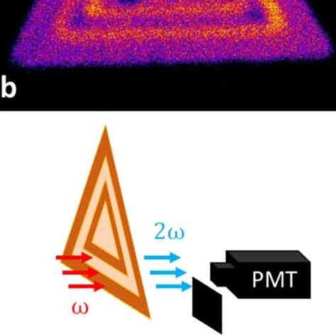 Interference Pattern Evidence In The Mose2 Wse2 Based Monolayer Lateral Download Scientific
