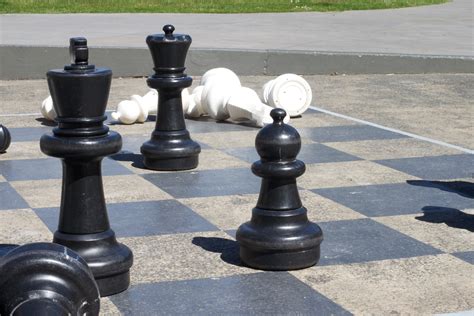 무료 이미지 바퀴 휴양 보드 게임 체스 판 계략 Auodyssey 실내 게임 및 스포츠 탁상용 게임