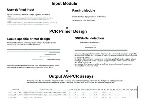 Flowchart Of The Main Steps In The AS PCR Process Data Can Be Download Scientific Diagram