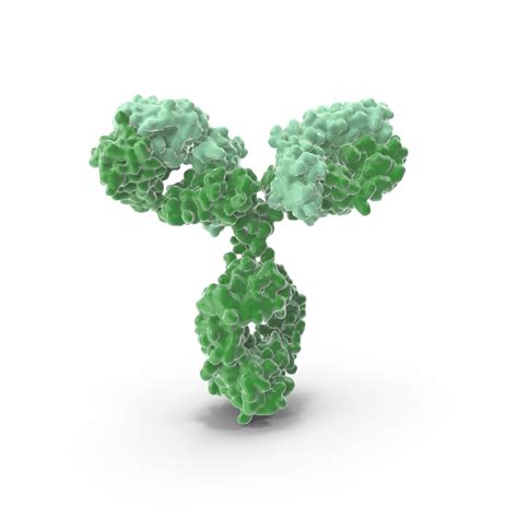 Breakthroughs In Glycan Biosynthesis Transforming The Future Of Biomanufacturing And