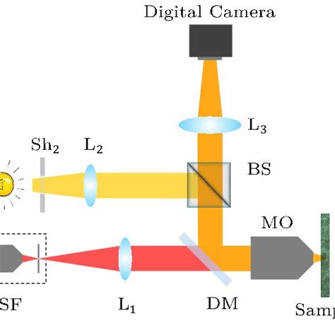 A Experimental Procedure For Dynamic Speckle Pattern And Bright Filed Download Scientific