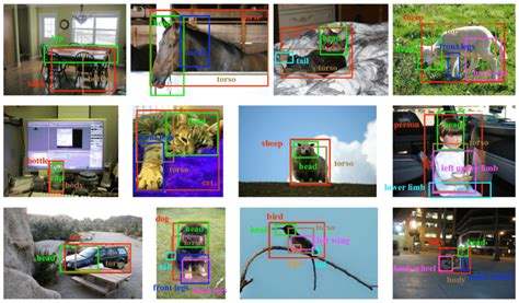 Visualization On Some Examples Of The Detected Object Part Download Scientific Diagram