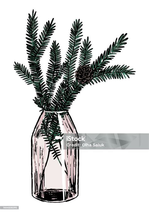 크리스마스 나뭇가지와 유리 꽃병의 스케치입니다 전나무 나뭇 가지의 꽃다발 손으로 그린 벡터 그림입니다 흰색으로 분리된 빈티지 꽃 클립 아트 0명에 대한 스톡 벡터 아트 및